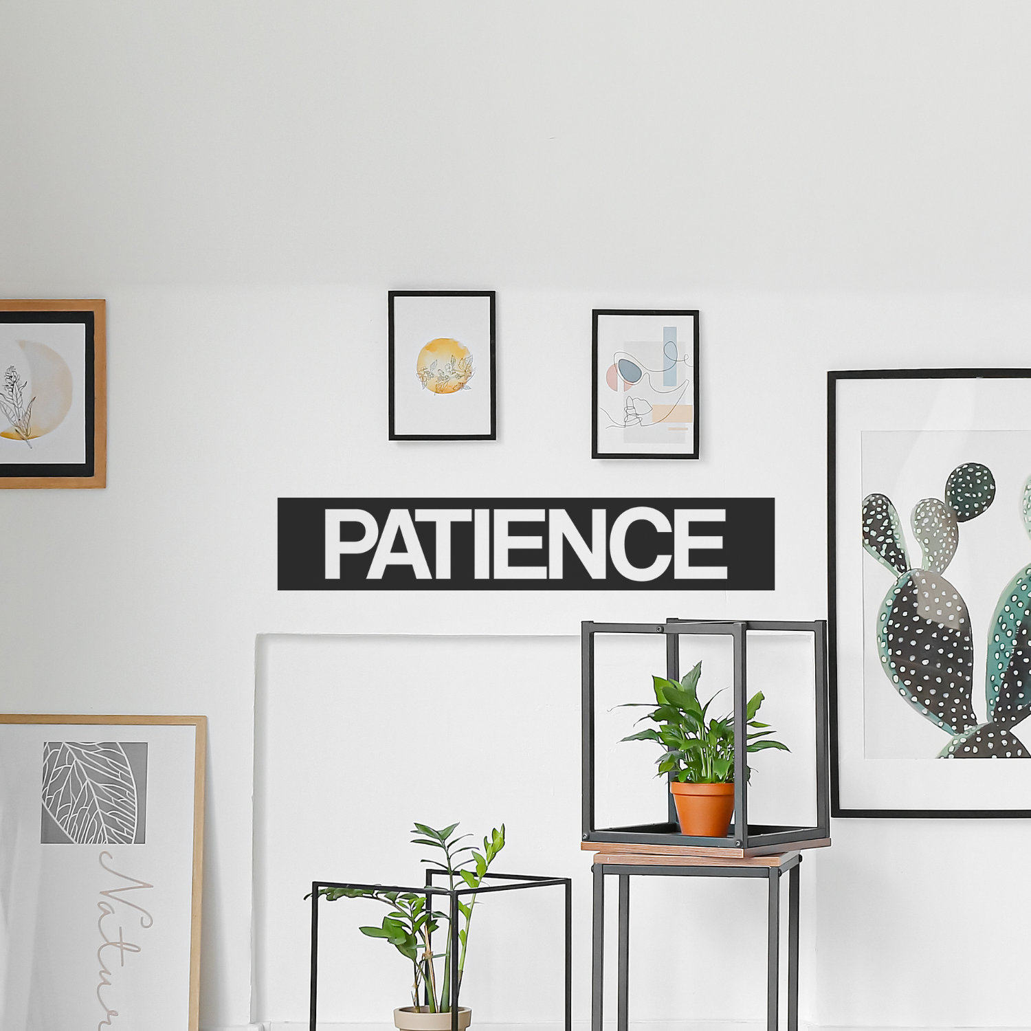 Patience – My Vinyl Story