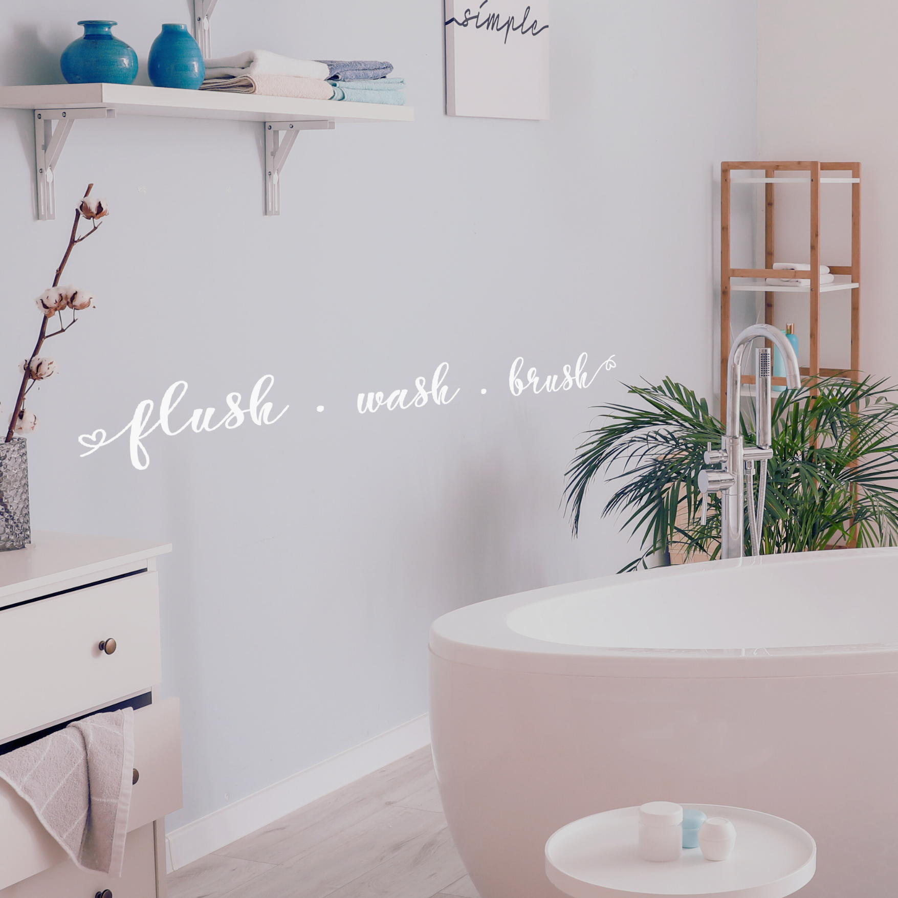 Flush Wash Brush – My Vinyl Story
